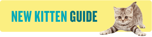 Buy Cat Supplies Online: Food, Litter, Flea & Worming | Pet Circle