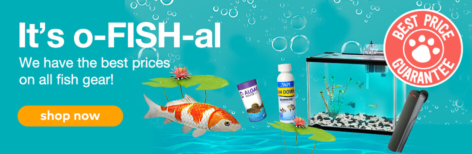 Fish & Aquarium Products: Food, Water Care, Filters | Pet Circle