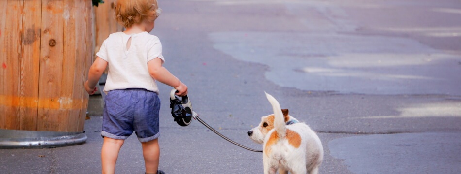 Why A Child Should Have A Dog