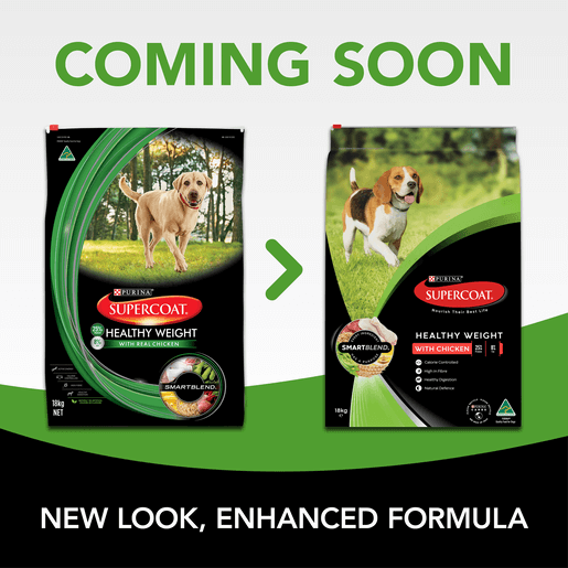 supercoat update | Pet Better with Pet Circle