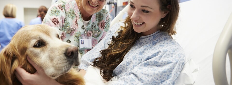 Can Dogs Detect Cancer? | Pet Better with Pet Circle