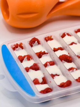 Homemade Dog Treats | Pet Better with Pet Circle