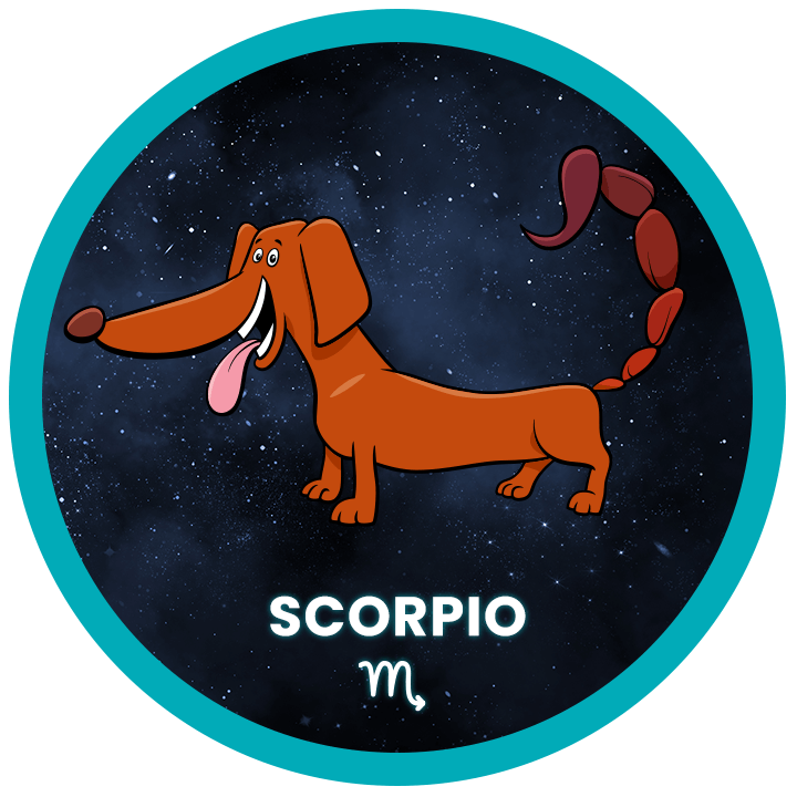 Dog Zodiac Signs | Pet Better with Pet Circle