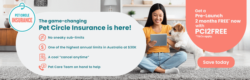 10 Budget Tips for Pet Owners | Pet Better with Pet Circle