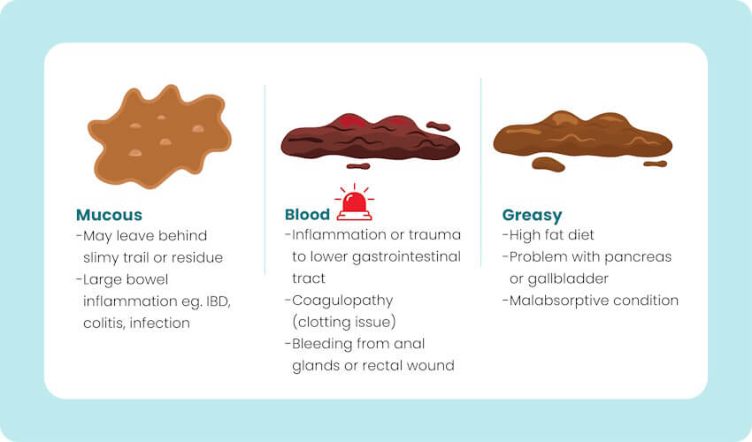 pet poo chart | Pet Better with Pet Circle