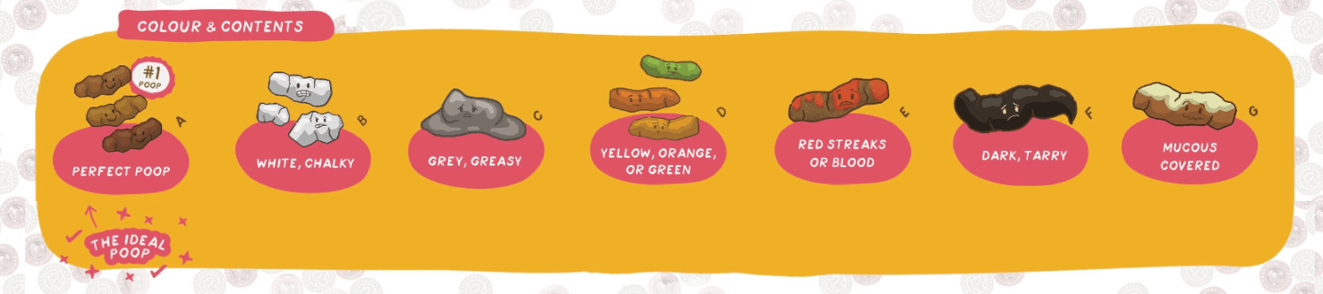 Yellow Dog Poo Explained | Pet Better with Pet Circle