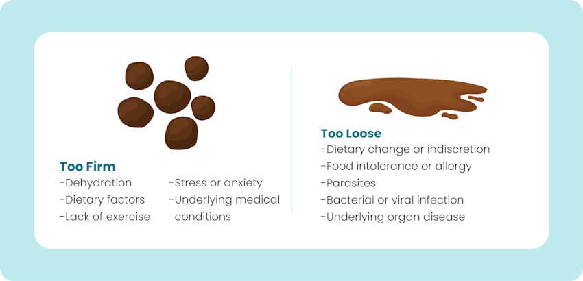 pet poo chart | Pet Better with Pet Circle