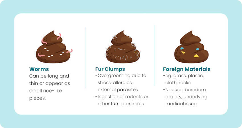 pet poo chart | Pet Better with Pet Circle