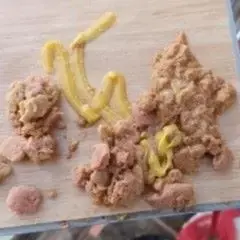 Tapeworms in Dogs | Pet Better with Pet Circle