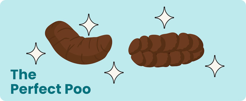 pet poo chart | Pet Better with Pet Circle