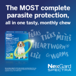 Buy Nexgard Spectra Small Dog Online | Better Prices At Pet Circle
