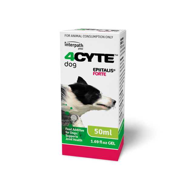 Buy 4cyte Epiitalis Forte Gel For Dogs Supports Joint Health Online ...
