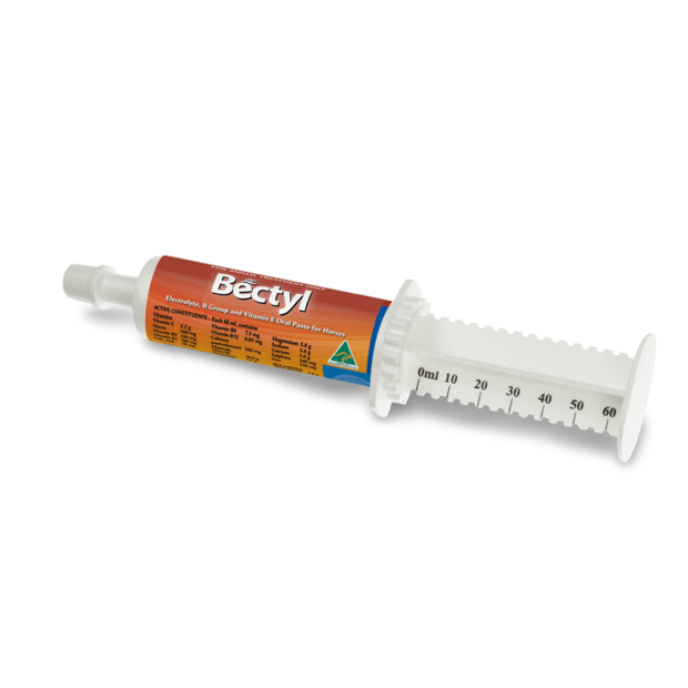 Buy Bectyl Vitamin And Electrolyte Paste Online | Better Prices At Pet Circle