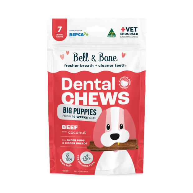 Buy Bell And Bone Beef Puppy Dental Chews Large Online | Better Prices ...