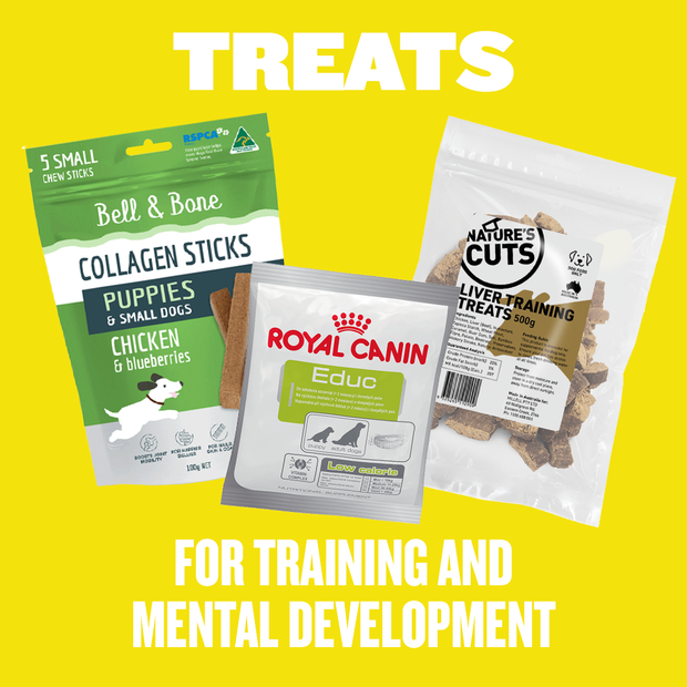 New Puppy Essentials Kit: The Better Puppy Bundle