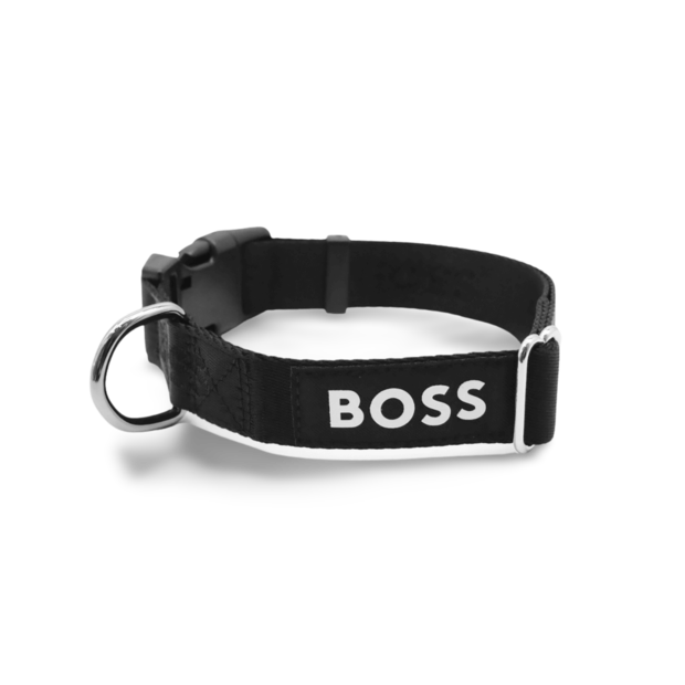 Buy Boss Dog Essentials Collar Black Online | Better Prices At Pet Circle