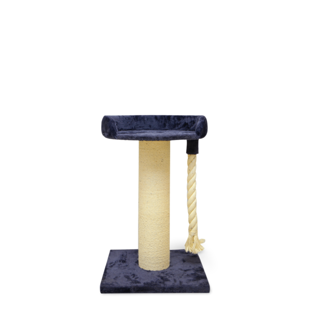 Buy Catio Cat Scratching Pole With Stand Regal Online | Better Prices ...