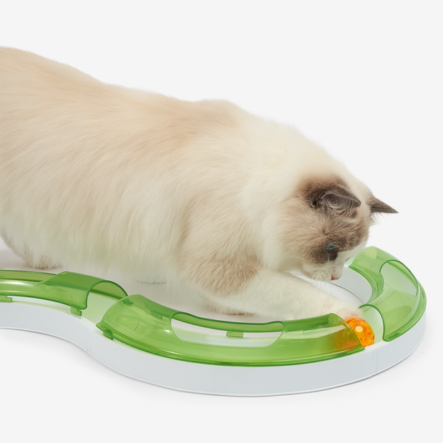 Buy Catit Senses Super Circuit Online | Better Prices At Pet Circle