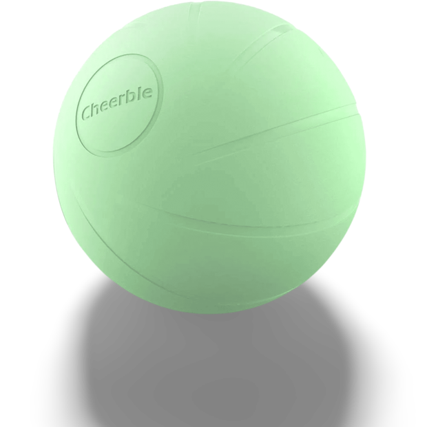 Buy Cheerble Wicked Ball Green Dog Toy Online | Better Prices At Pet Circle
