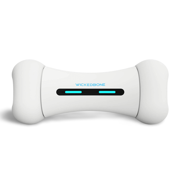 Buy Cheerble Wicked Bone Dog Toy Online | Better Prices At Pet Circle