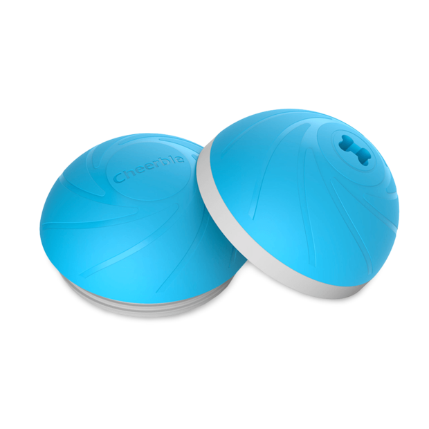 Buy Cheerble Wickedball Dog Toy Shell Blue Online | Better Prices At ...