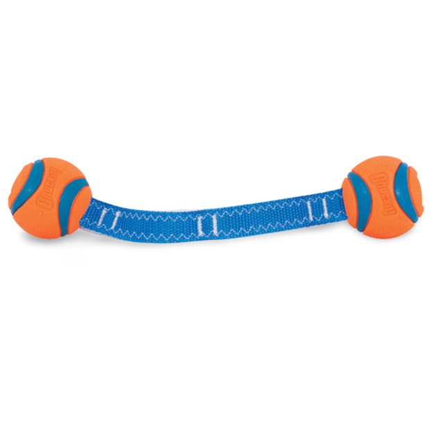 Buy Chuckit Ultra Duo Tug Online | Better Prices At Pet Circle