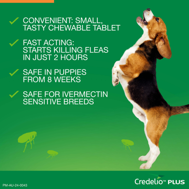 Buy Credelio Plus Medium Dog Orange Online | Better Prices At Pet Circle