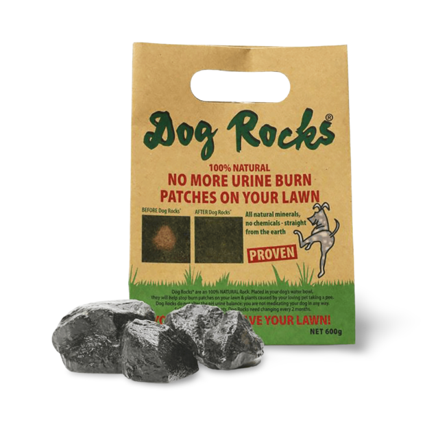 Buy Dog Rocks Online | Better Prices At Pet Circle