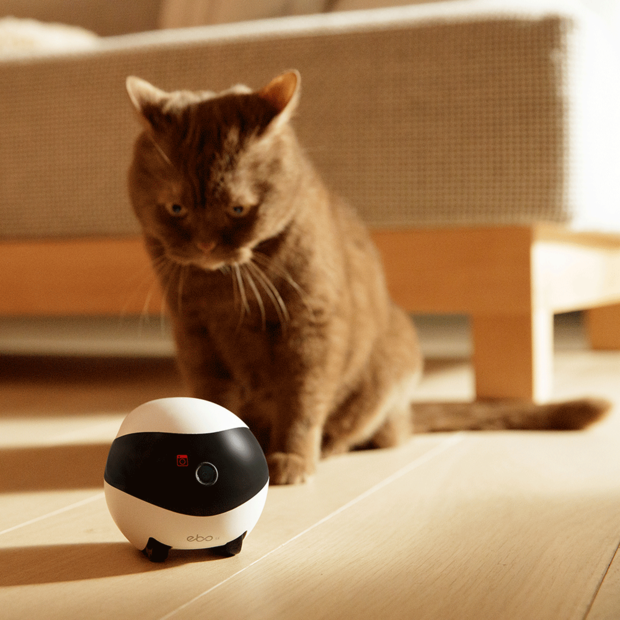 Buy Enabot Ebo Air Online | Better Prices At Pet Circle