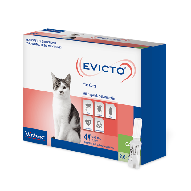Buy Evicto For Cats Online | Better Prices At Pet Circle