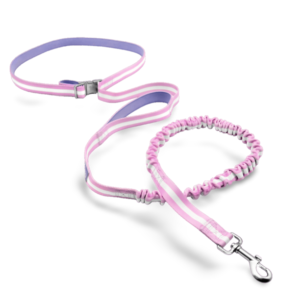 Buy Florence By Mills Florence Appleskin Crossbody Dog Leash Purple ...