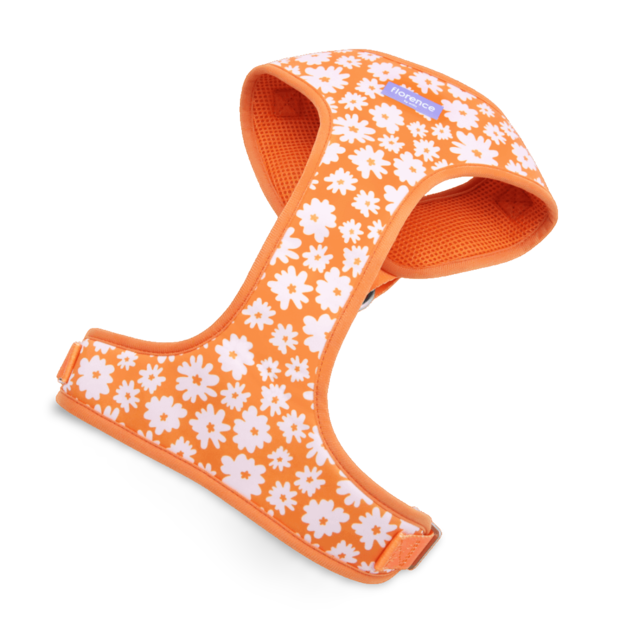 Buy Florence By Mills Florence Print Harness For Dogs Orange Online ...