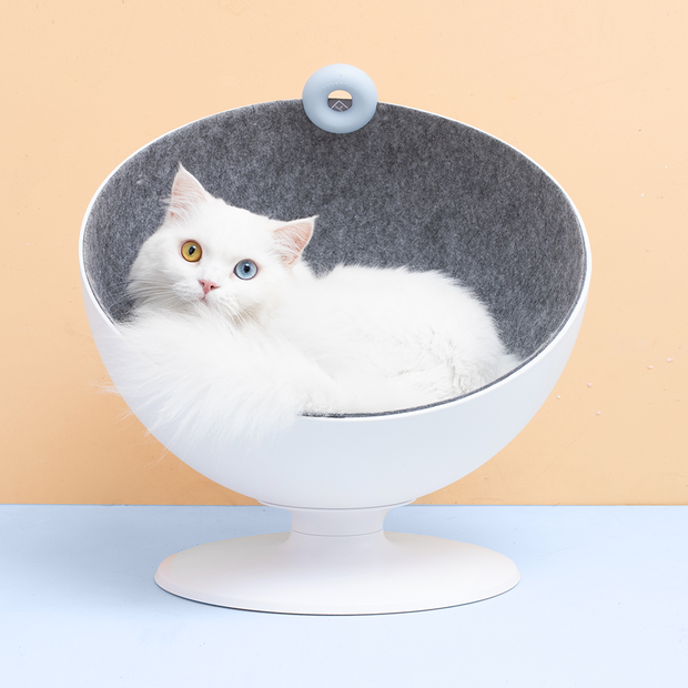 Лежанка кресло для кошек лежаки для кота лежак для кошки furrytail boss ...