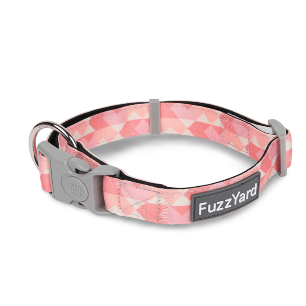 Buy Fuzzyard Dog Collar Pink Lemonade Online | Better Prices At Pet Circle