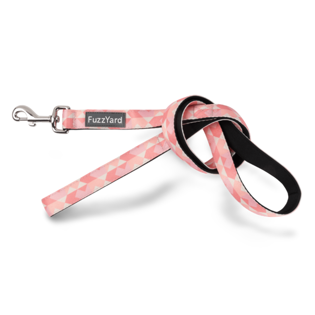 Buy Fuzzyard Dog Lead Pink Lemonade Online | Better Prices At Pet Circle