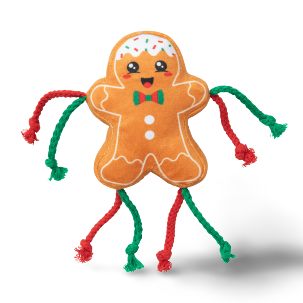 Buy Fuzzyard Fred The Gingerbread Plush Cat Toy Online | Better Prices ...