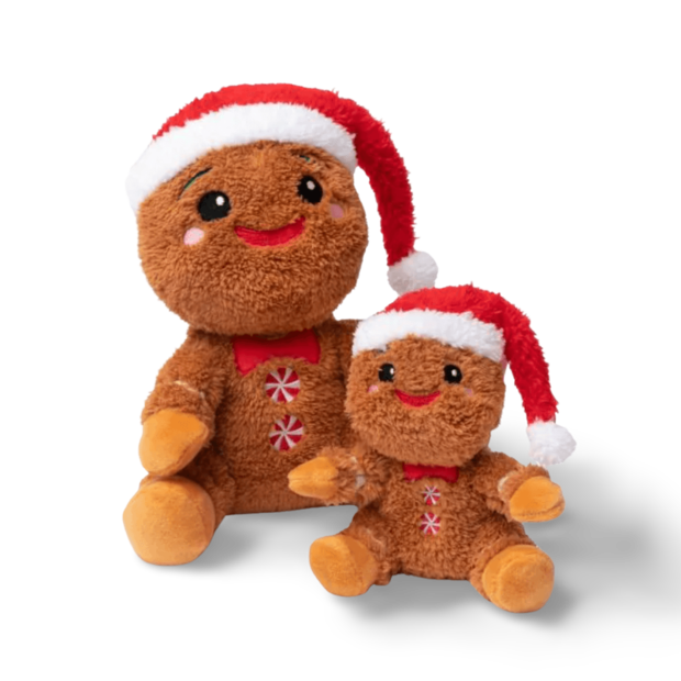 Buy Fuzzyard Nastie Gingy Boi Dog Toy Online | Better Prices At Pet Circle