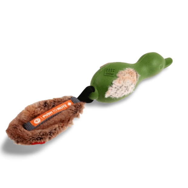 Buy Gigwi Duck With Plush Tail Green Online | Better Prices At Pet Circle