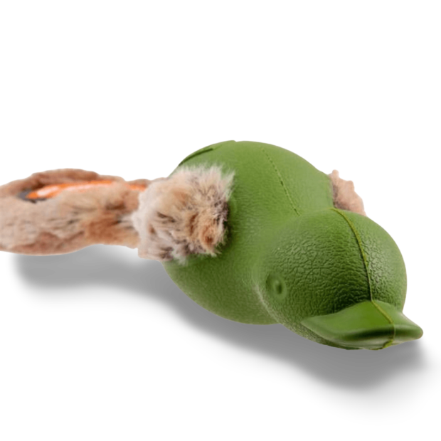 Buy Gigwi Duck With Plush Tail Green Online | Better Prices At Pet Circle