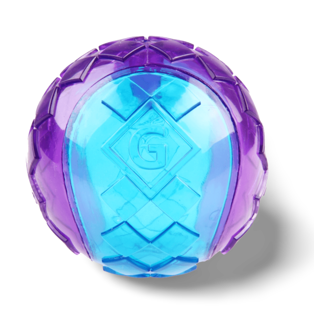 Buy Gigwi Squeaky Ball Toy Online | Better Prices At Pet Circle
