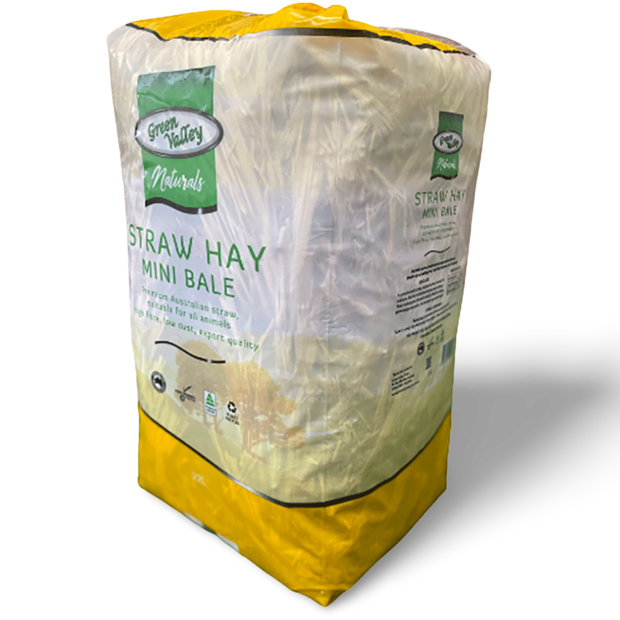Buy Green Valley Naturals Straw Hay Mini Bale For Small Pets Online ...