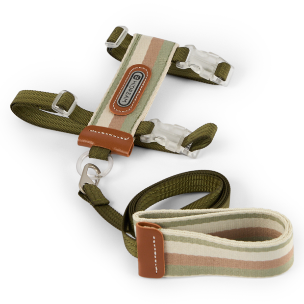 Buy Hi Dream Adjustable Cat Harness And Leash Set Sage Stripes Online ...