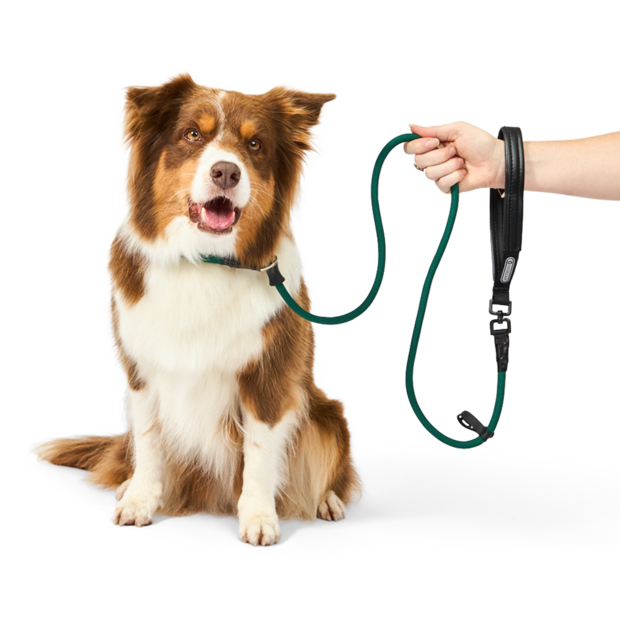 Buy Hi Dream Leather Rotatable Handle Dog Leash Dark Green Online ...