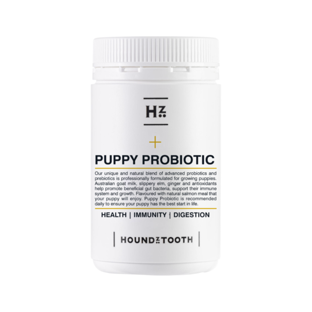 Buy Houndztooth Puppy Probiotic Health Supplement Online | Better ...