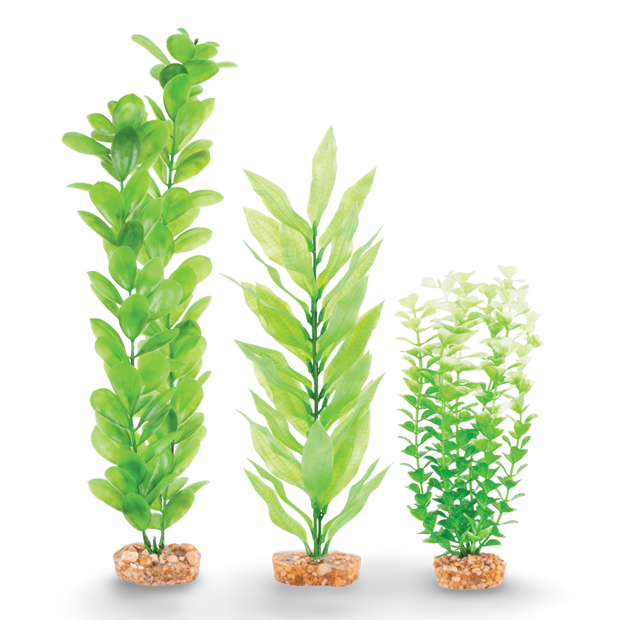 Buy Kazoo Plastic Plant Multipack Two Online | Better Prices At Pet Circle