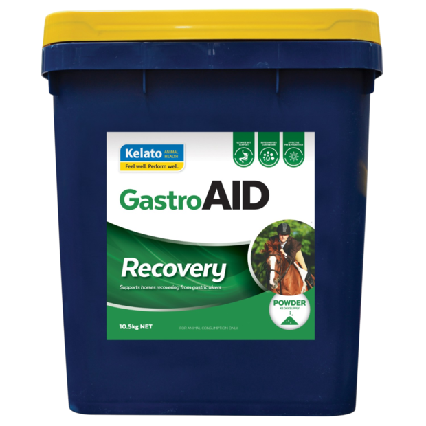 Buy Kelato Gastroaid Recovery Gastric Ulcer Support Horse Supplement ...