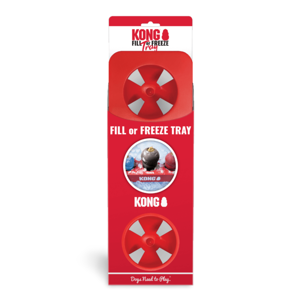 Buy Kong Fill Or Freeze Dog Tray Online | Better Prices At Pet Circle