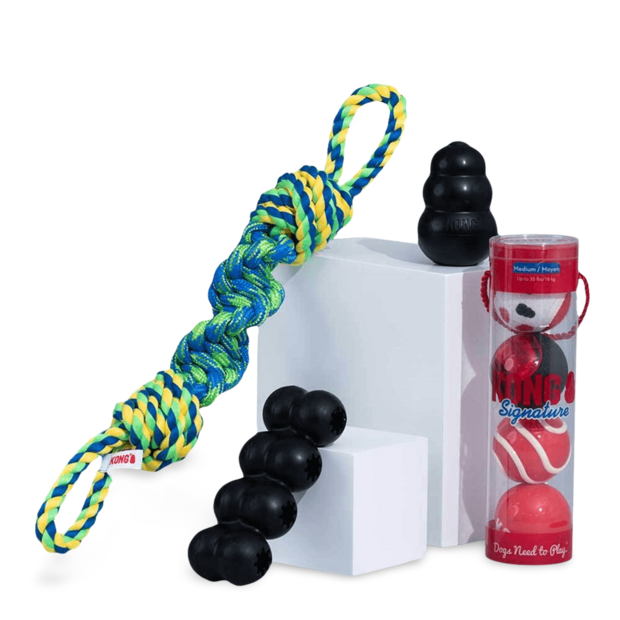 Buy Kong Medium Dog Better Bundle Online | Better Prices At Pet Circle