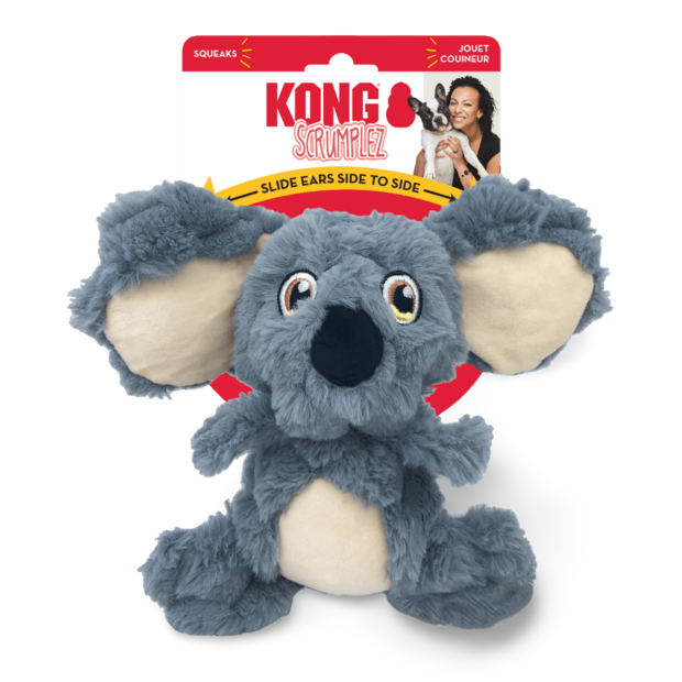 Buy Kong Scrumplez Koala Plush Dog Toy Online | Better Prices At Pet Circle