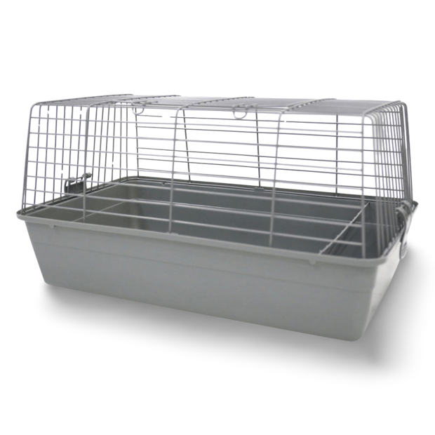 Buy Little Ones Rabbit Run Online | Better Prices At Pet Circle